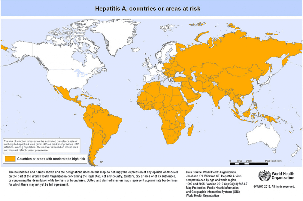 Hepatitis A Vaccine | £50 Cheapest | Travel Vaccine Clinic | TravelDoc™