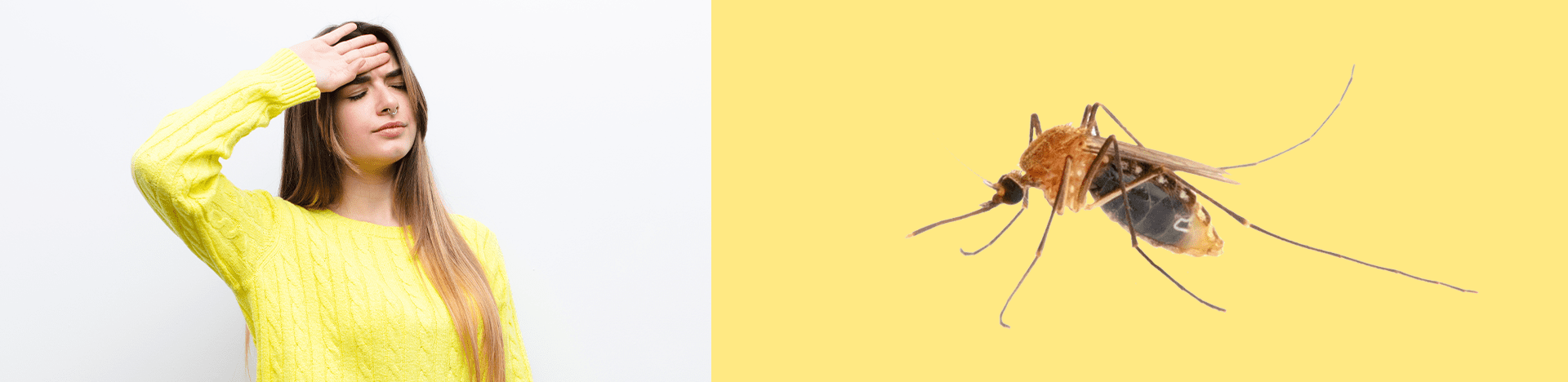 Yellow Fever Vaccine £75 Cheapest | Travel Vaccine Clinic | TravelDoc™