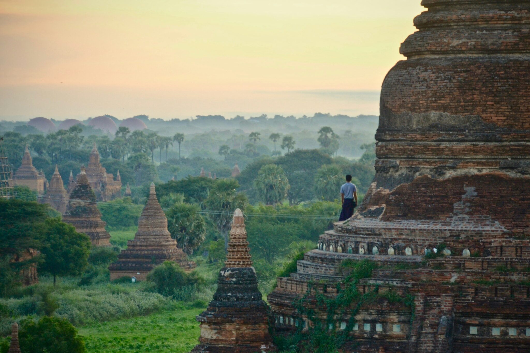 TravelDoc™ | Affordable Travel Vaccination Clinics across the UK